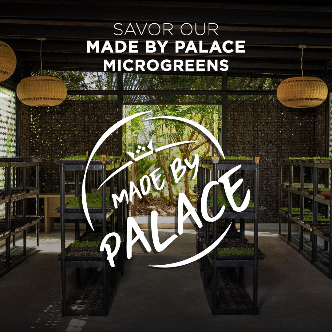 Taste Sustainability: Made by Palace Microgreens - The Grand At Moon ...